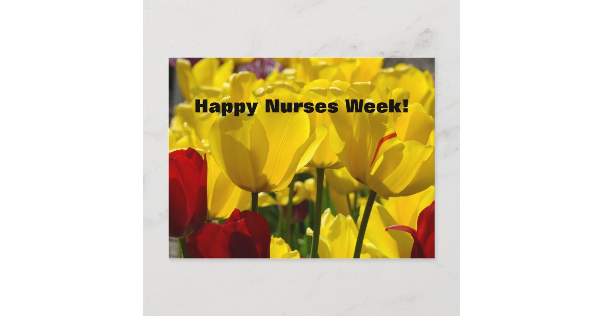 Happy Nurses Week! postcards Tulips Appreciate | Zazzle
