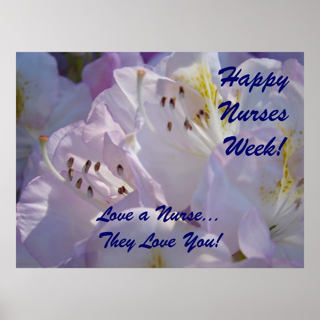 Happy Nurses Week! poster Love a Nurse Floral | Zazzle