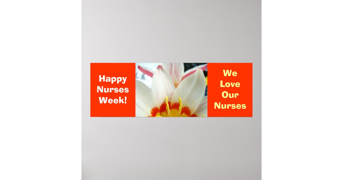 Happy Nurses Week! poster We Love Our Nurses Tulip | Zazzle