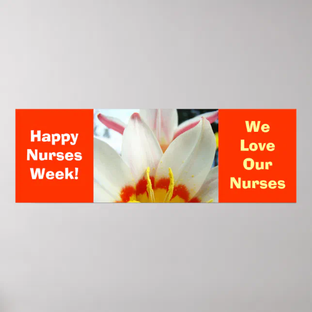 Happy Nurses Week! poster We Love Our Nurses Tulip | Zazzle