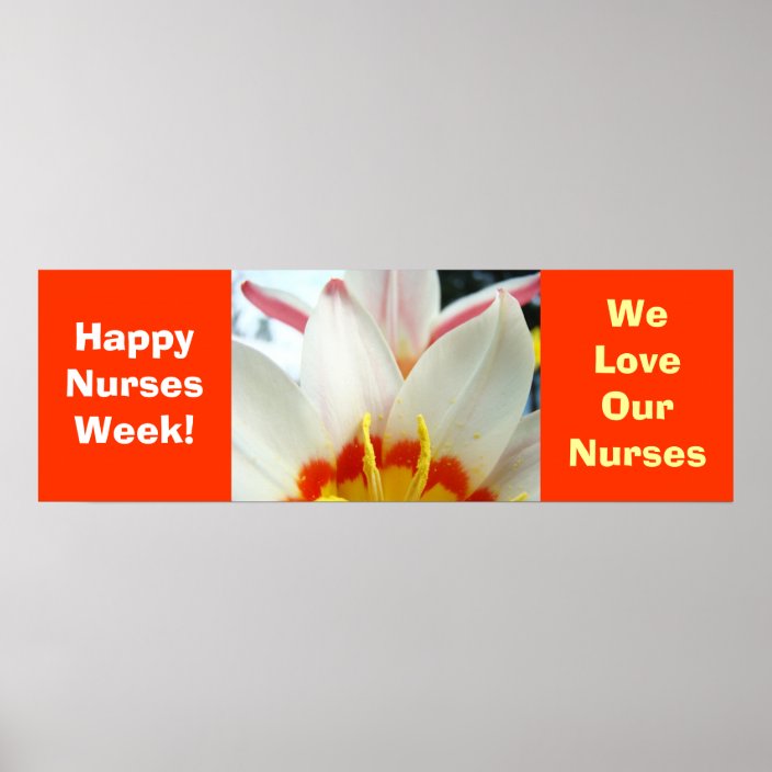 Happy Nurses Week! poster We Love Our Nurses Tulip | Zazzle.com