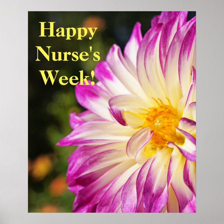 Happy Nurses Week! posters prints Nurse RN | Zazzle