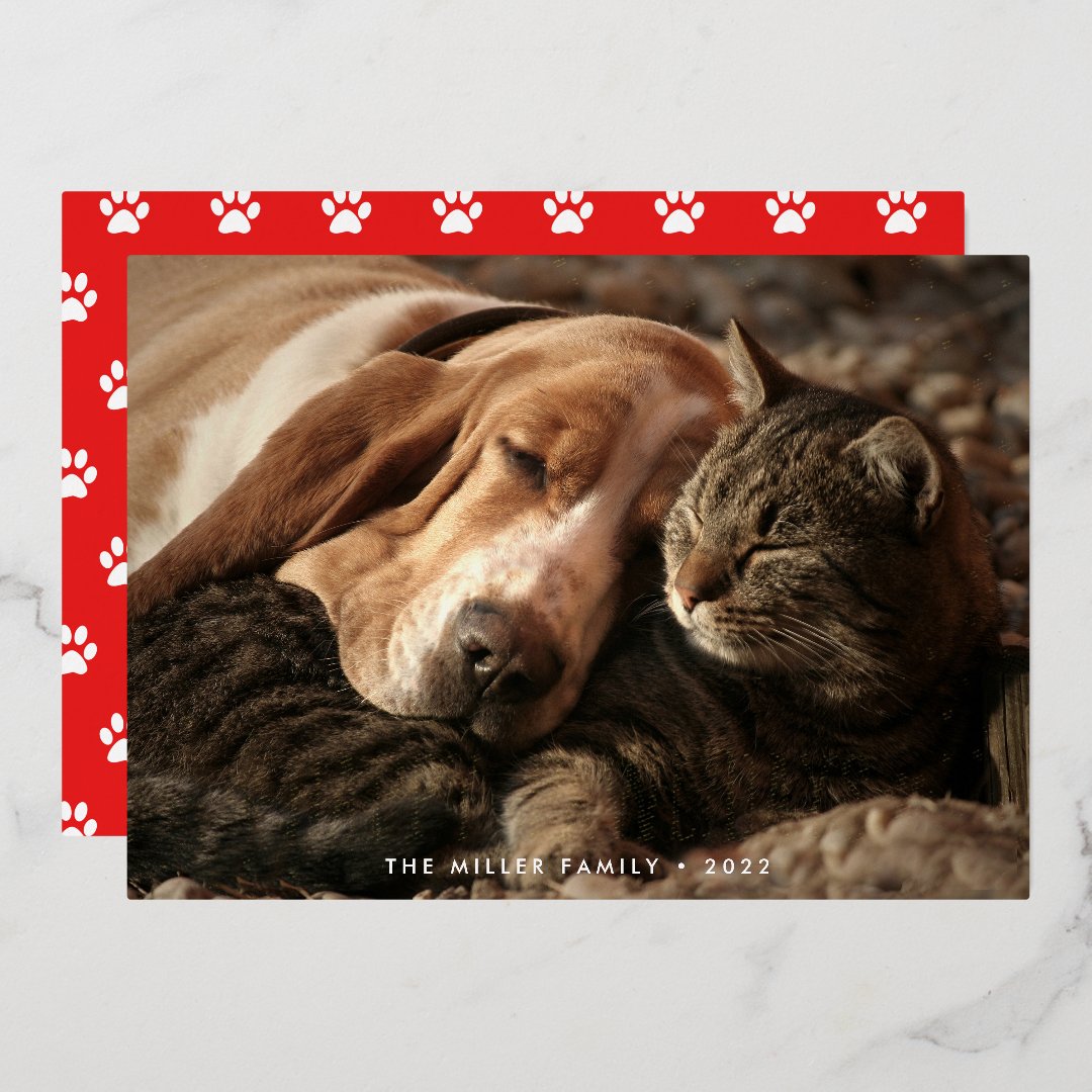 Happy Pawlidays Pet Photo Foil Holiday Card | Zazzle