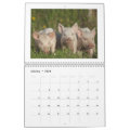 Happy Piglets - 2016 Pig Calendar | Zazzle