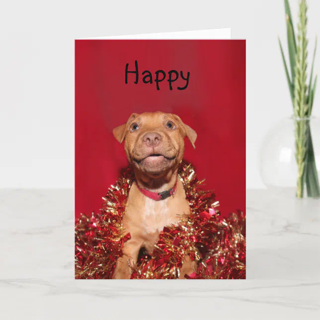 Happy pitbull puppy Christmas Holiday Card | Zazzle
