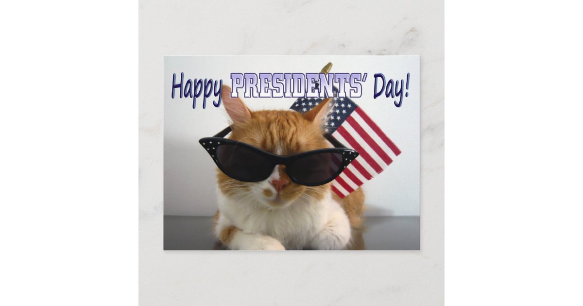 Happy Presidents' Day Cool Cat with Flag Postcard | Zazzle