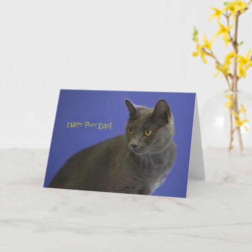 Happy Purr Day Russian Blue by Focus for a Cause Card | Zazzle