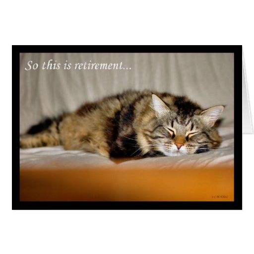 Happy Retirement Leaving work Sleeping cat Card | Zazzle