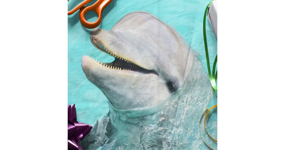 Happy Smiling Dolphin Tissue Paper | Zazzle