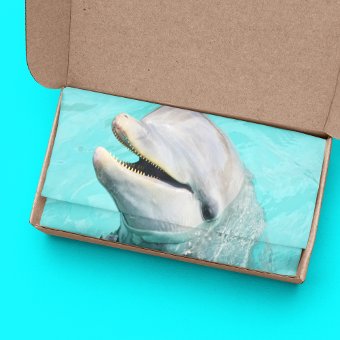 Happy Smiling Dolphin Tissue Paper | Zazzle