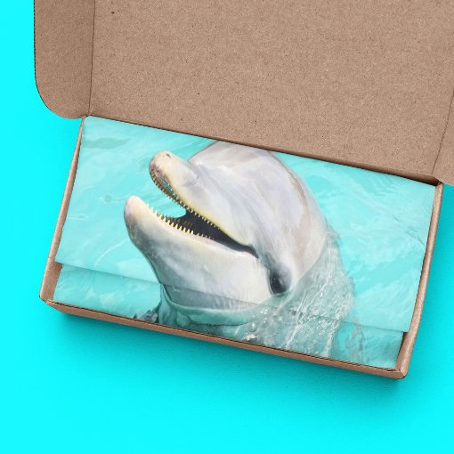 Happy Smiling Dolphin Tissue Paper | Zazzle