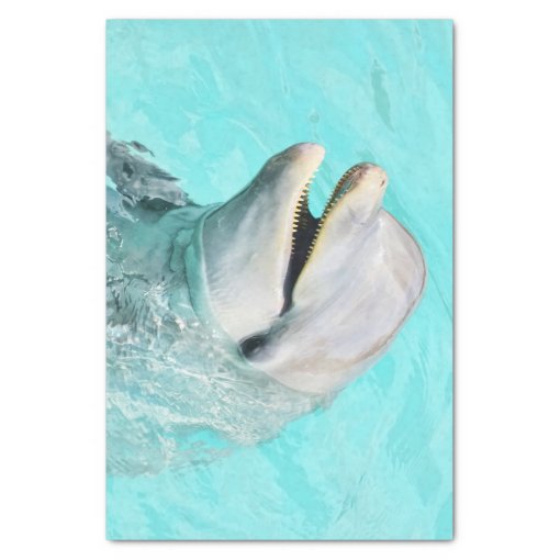 Happy Smiling Dolphin Tissue Paper | Zazzle