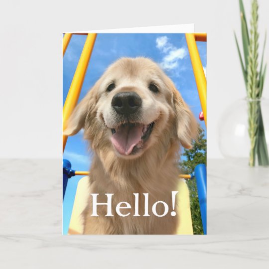 Happy Smiling Golden Retriever Hello Card | Zazzle.com
