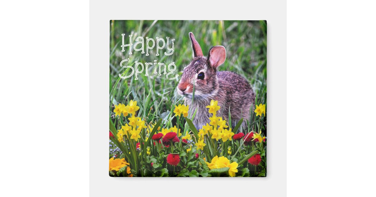 Happy Spring Daffodils and Rabbit Magnet | Zazzle