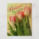 Happy Spring Tulips Postcards | Zazzle