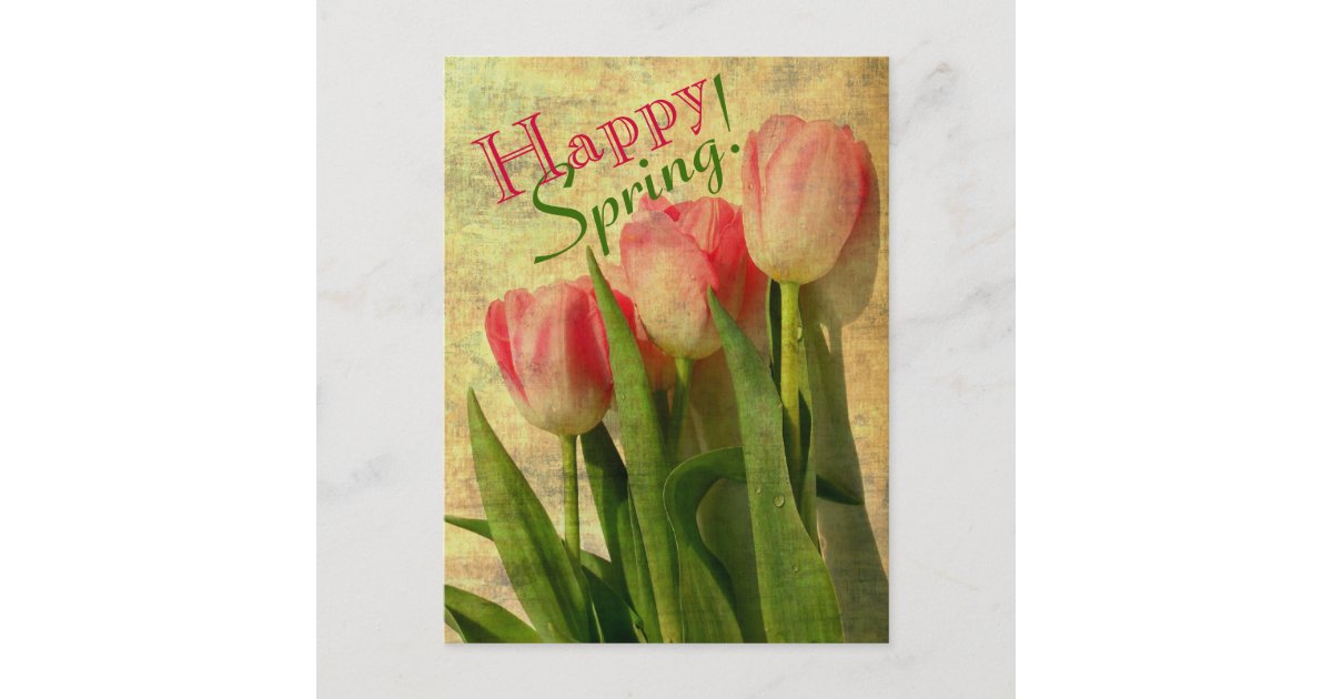 Happy Spring Tulips Postcards | Zazzle