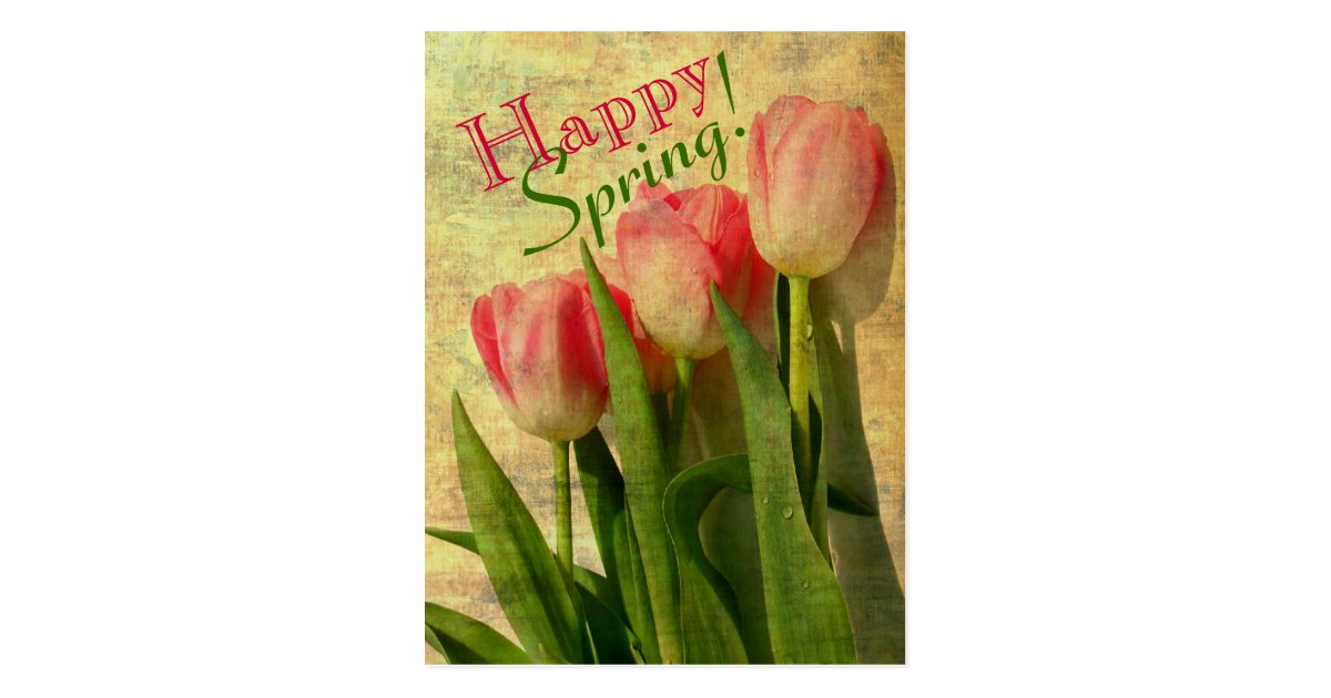 Happy Spring Tulips Postcards | Zazzle.com