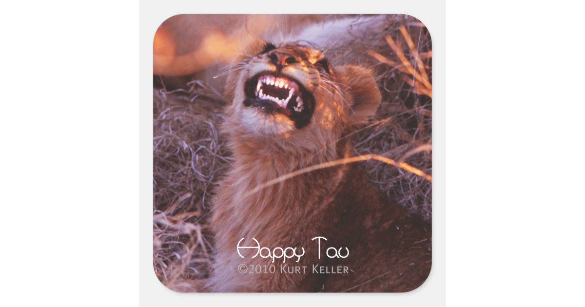 Happy Tau Square Sticker | Zazzle