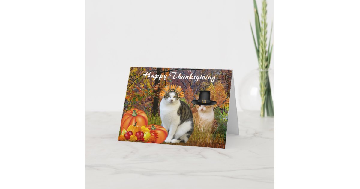 Happy Thanksgiving Cute Cat Collage Note Card | Zazzle