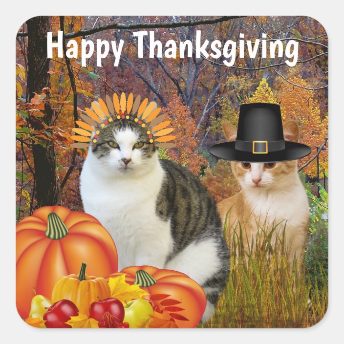 Happy Thanksgiving Cute Cats Pumpkin Square Sticker | Zazzle.com