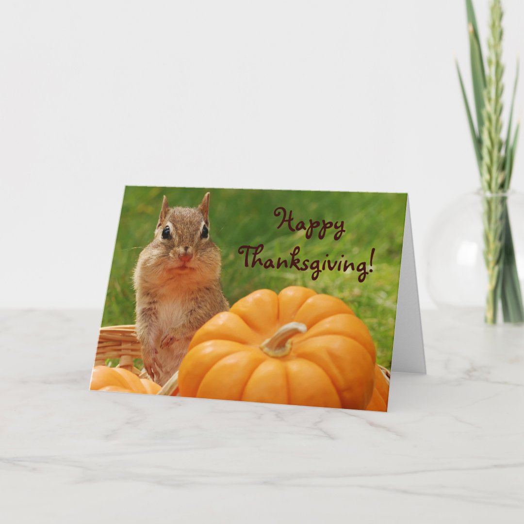 Happy Thanksgiving Cute Chipmunk Card | Zazzle
