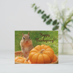 Happy Thanksgiving Cute Chipmunk Postcard | Zazzle