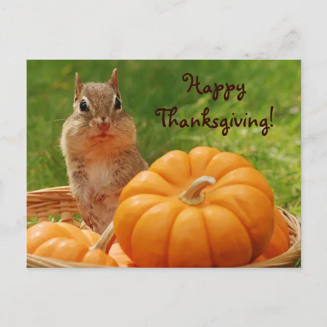 Happy Thanksgiving Cute Chipmunk Postcard | Zazzle