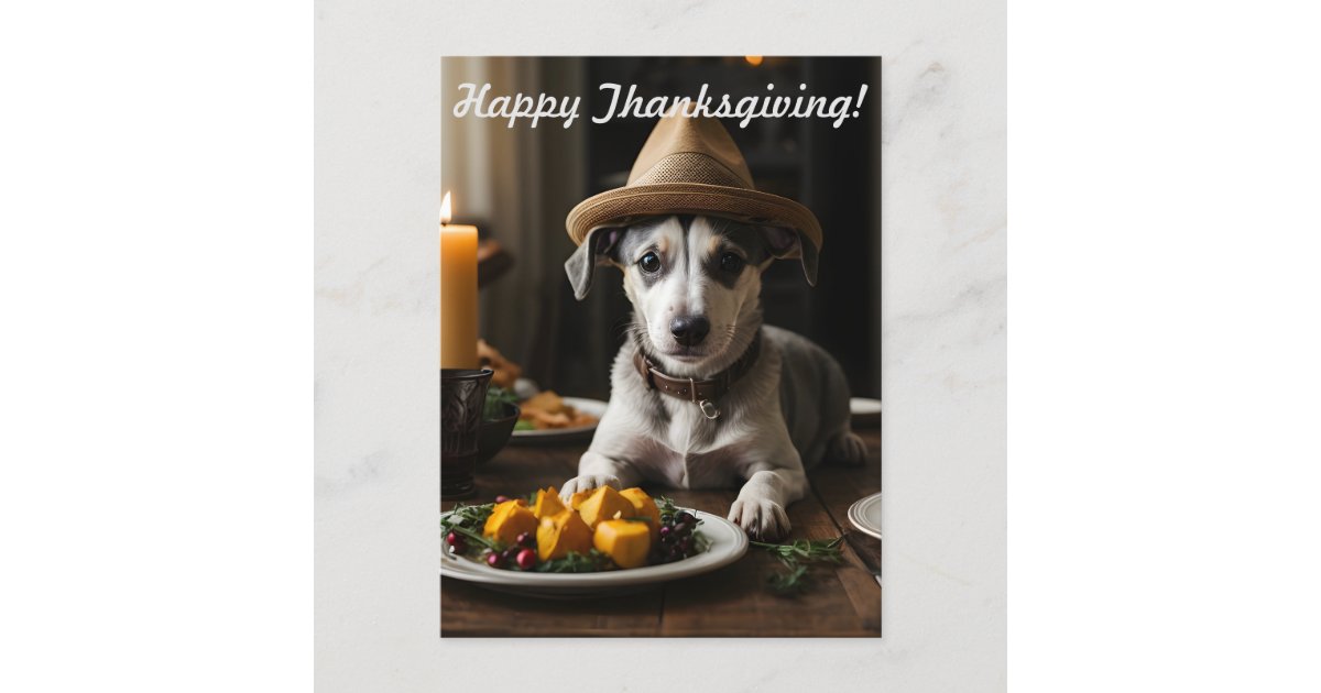 Happy Thanksgiving Cute Puppy With Pilgrim Hat Postcard | Zazzle