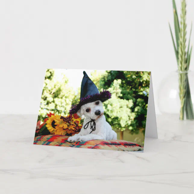 Happy Thanksgiving Dog Greeting Card | Zazzle