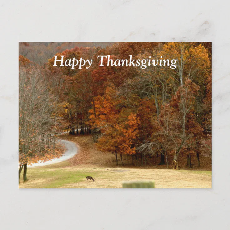 Happy Thanksgiving Fall Photo Autumn Trees Deer Holiday Postcard | Zazzle