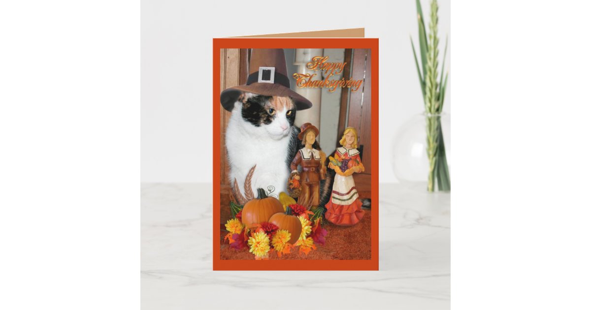 Happy Thanksgiving for cat lover Holiday Card | Zazzle