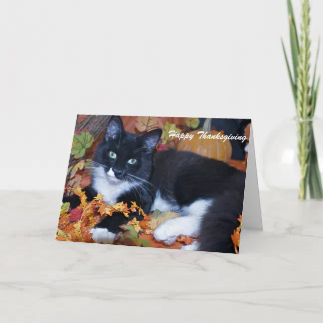 Happy Thanksgiving Holiday Card | Zazzle