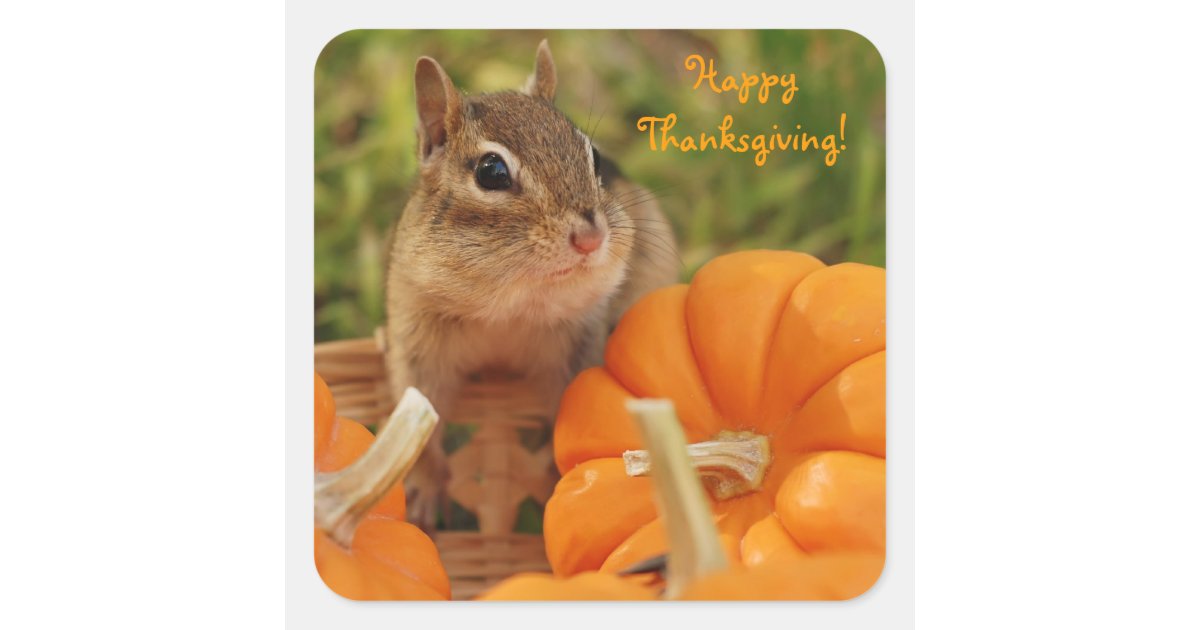 Happy Thanksgiving Little Chipmunk Sticker | Zazzle