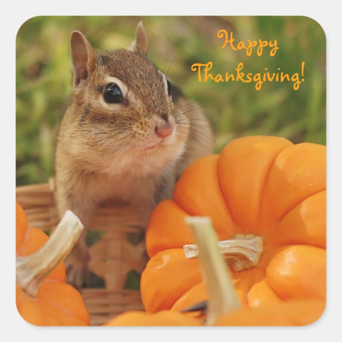 Happy Thanksgiving Little Chipmunk Sticker | Zazzle.com