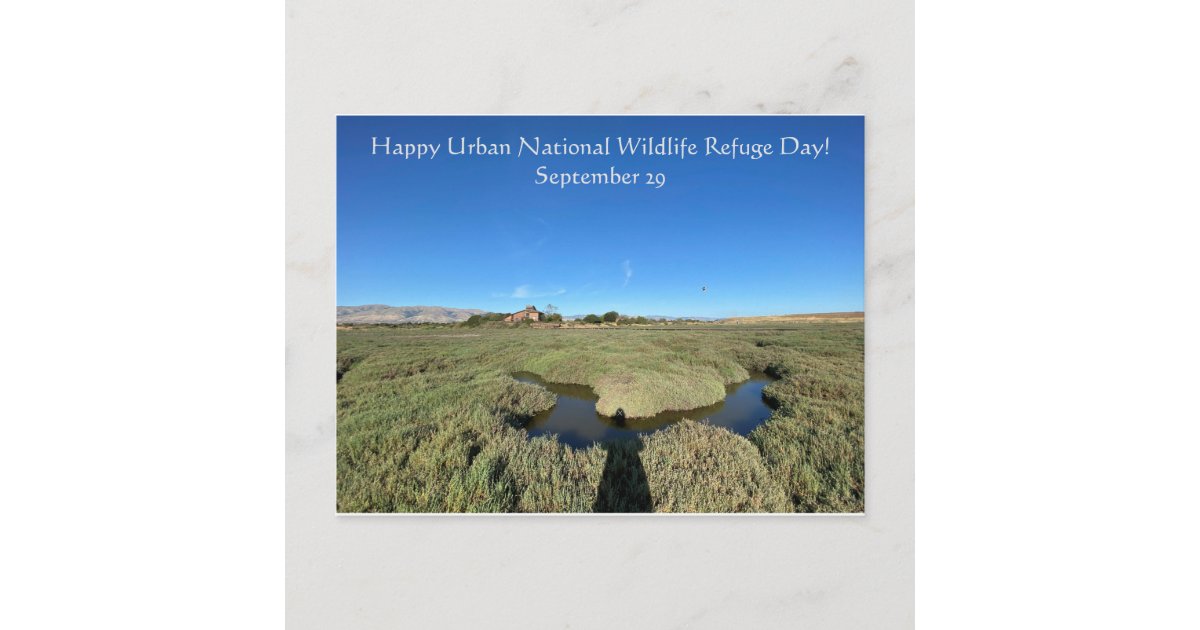 Happy Urban National Wildlife Refuge Day! Postcard | Zazzle