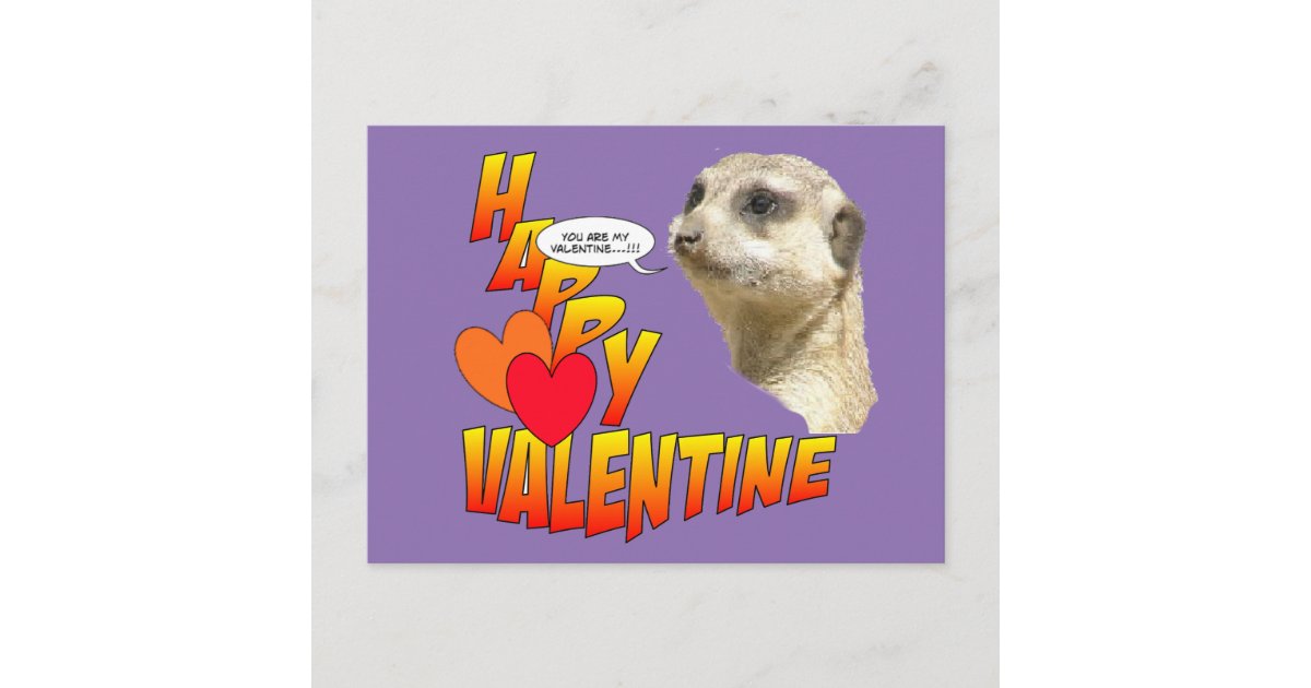 Happy Valentine Meerkat Postcard Customizable | Zazzle