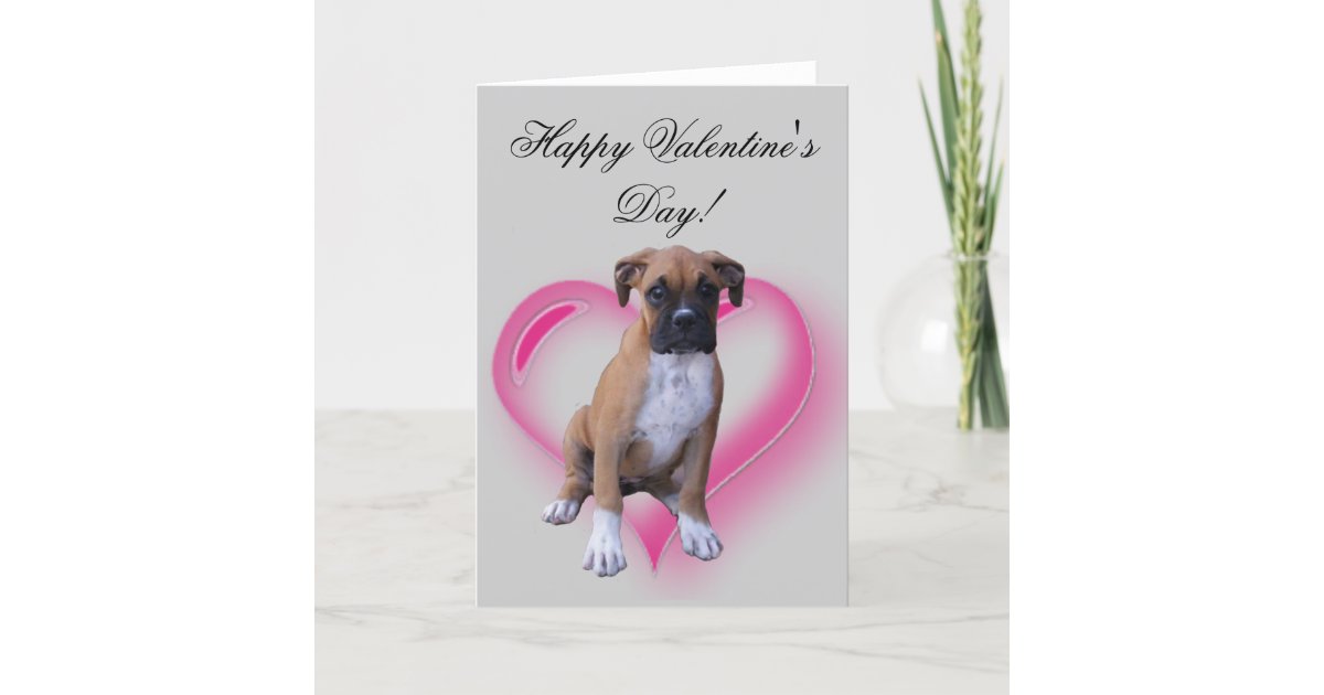 Happy Valentine's Day Boxer greeting card | Zazzle