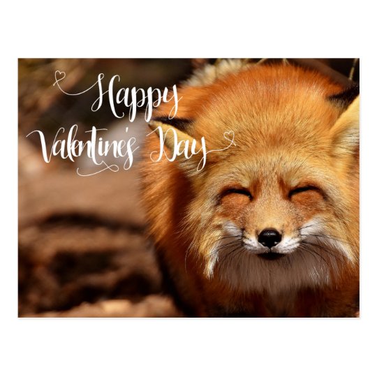 Happy Valentine's day Fox Postcard | Zazzle.com