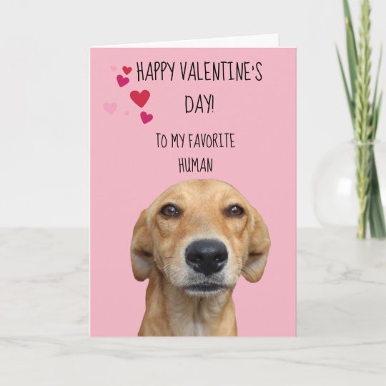 Happy Valentine's Day From The Dog Card | Zazzle.com
