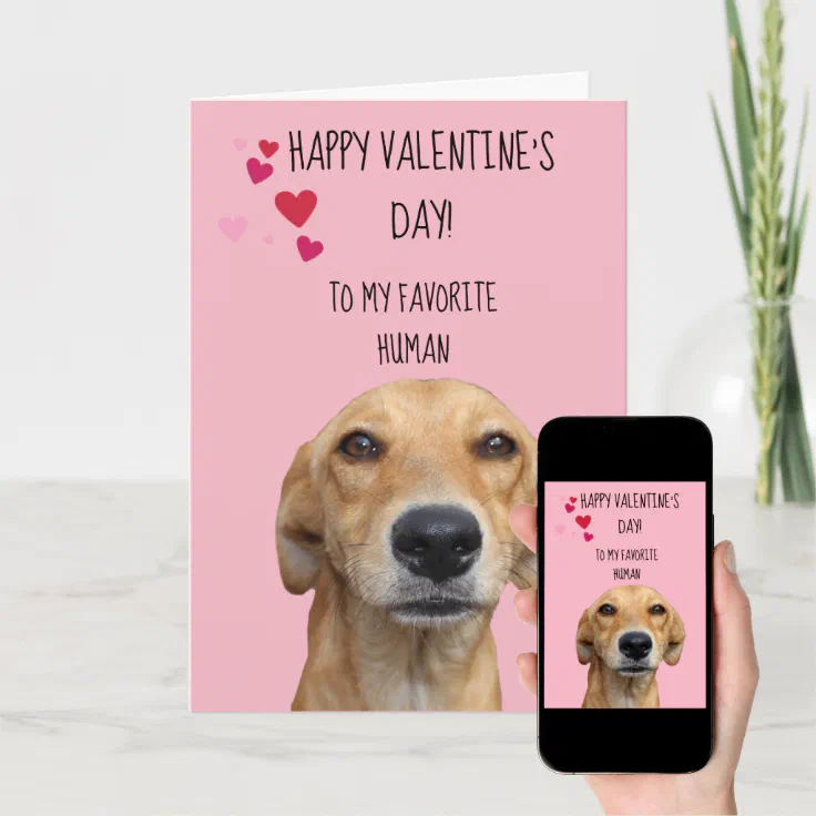 Happy Valentine's Day From The Dog Card | Zazzle