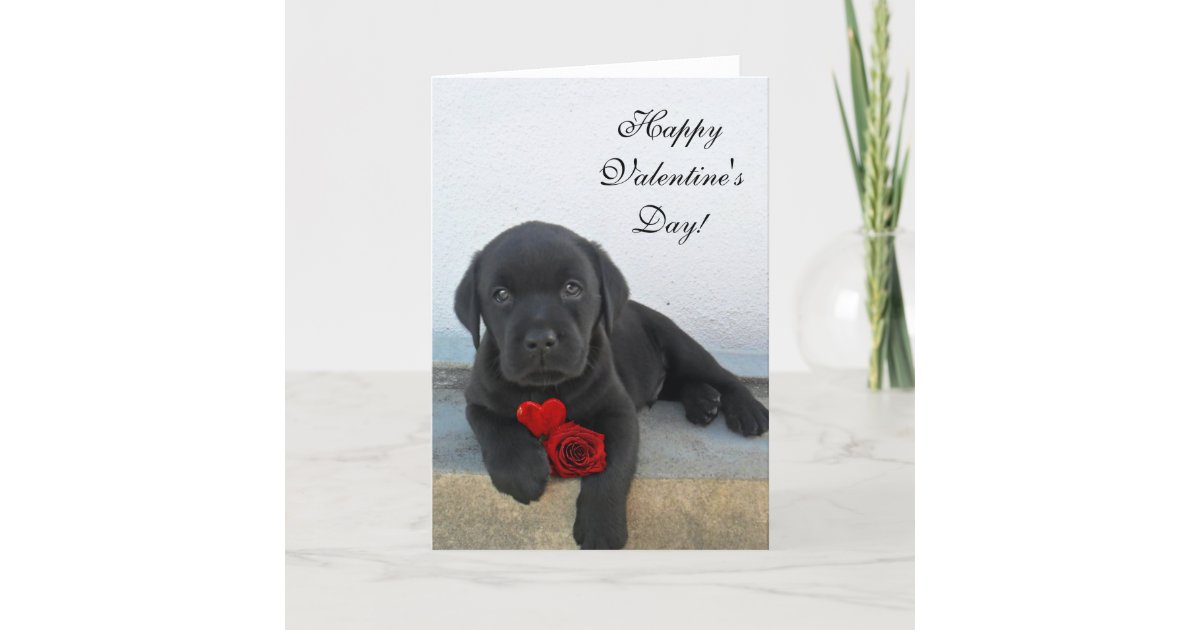 Happy Valentine's Day Labrador dog card | Zazzle