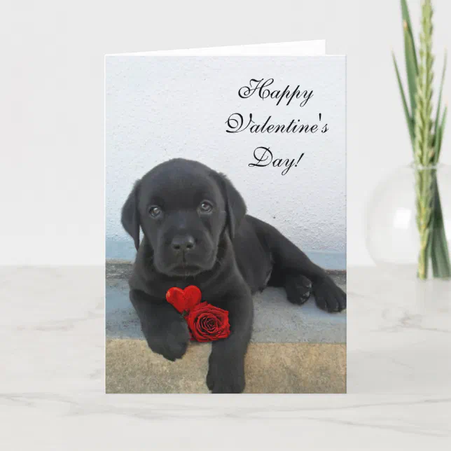 Happy Valentine's Day Labrador dog card | Zazzle