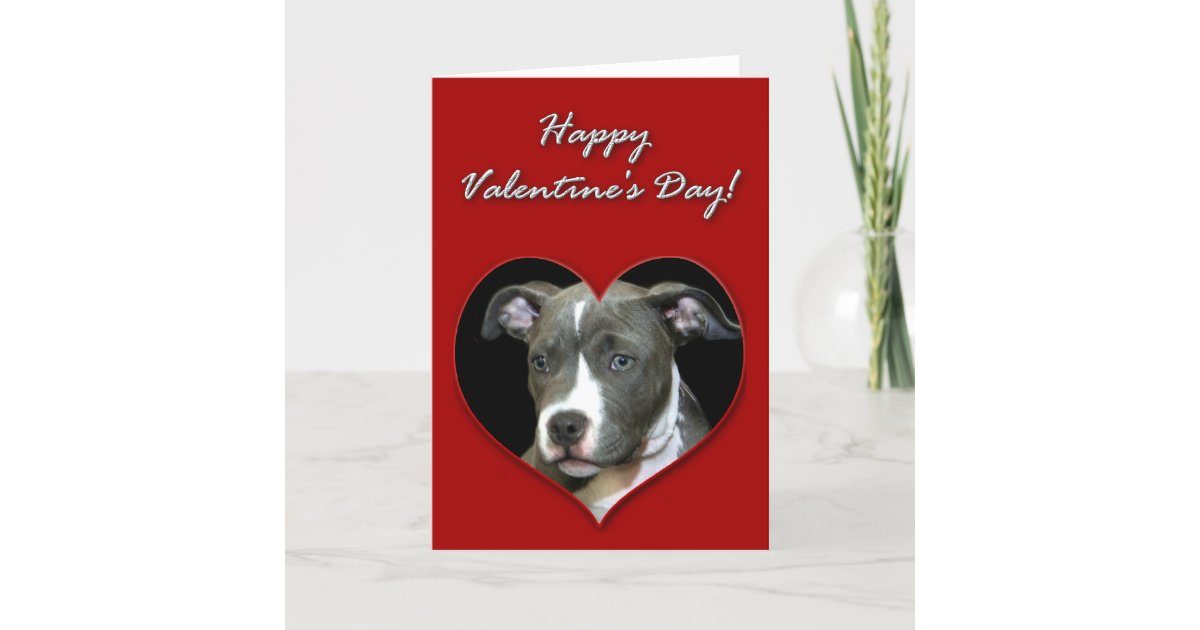 Happy Valentines Day Pitbull puppy Card | Zazzle