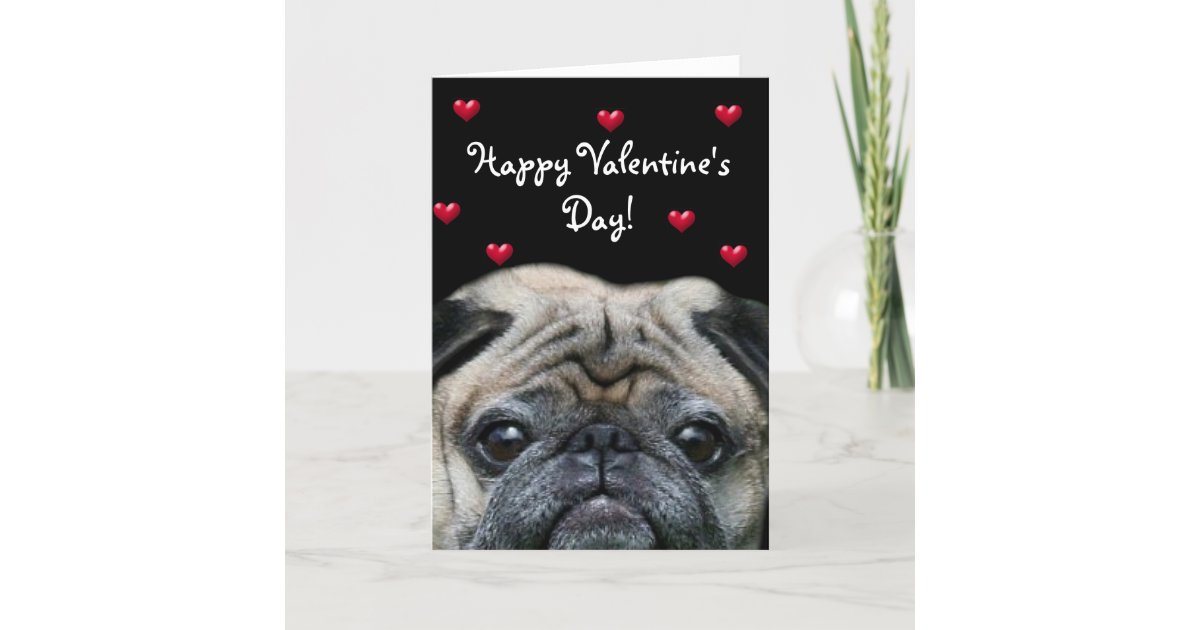 Happy Valentine's Day Pug greeting card | Zazzle