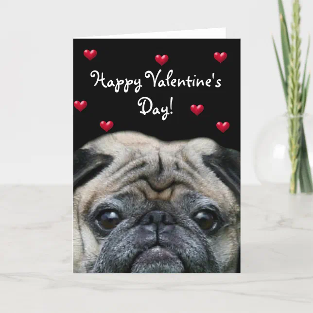 Happy Valentine's Day Pug greeting card | Zazzle