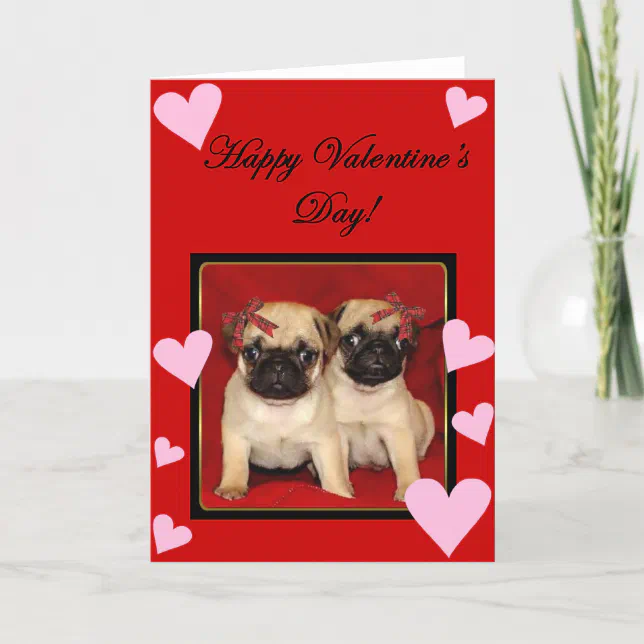 Happy Valentine's day Pugs greeting card | Zazzle