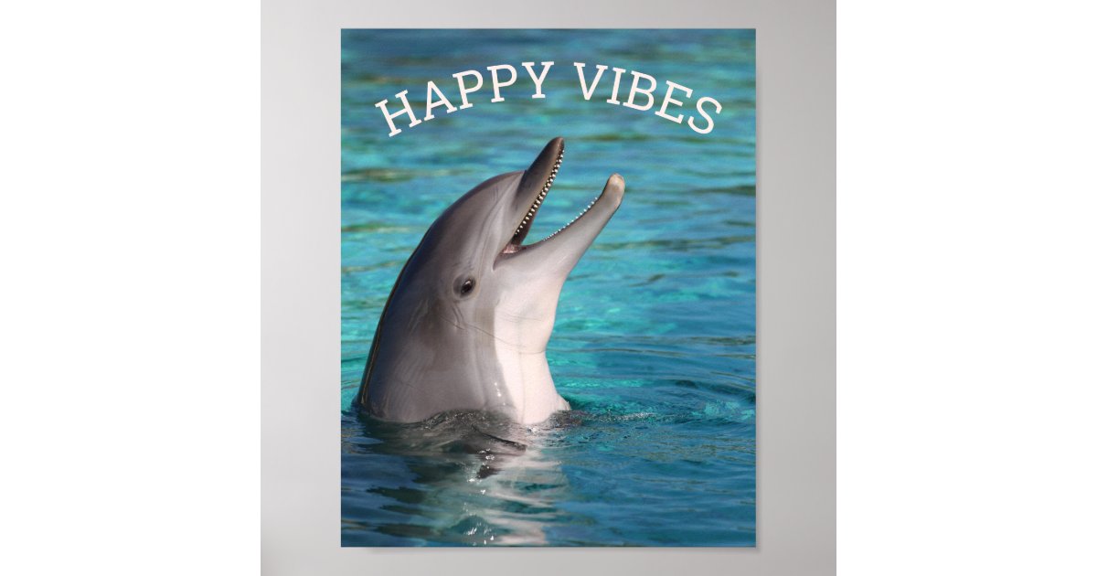 Happy Vibes Smiling Dolphin or Add Your Photo Poster | Zazzle