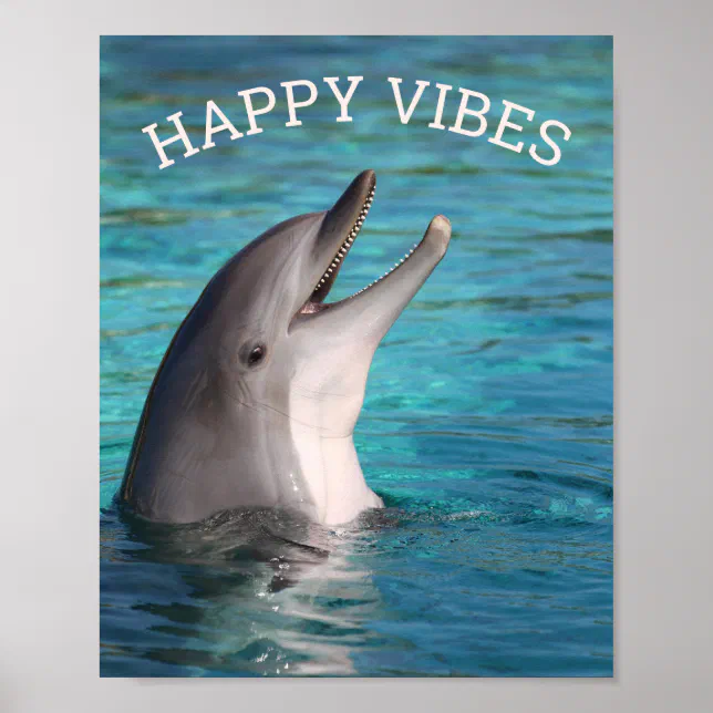Happy Vibes Smiling Dolphin or Add Your Photo Poster | Zazzle