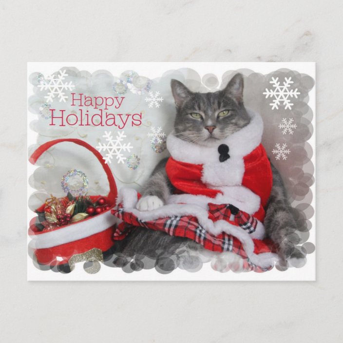 Happy Winter Holidays with Cat Holiday Postcard | Zazzle.com