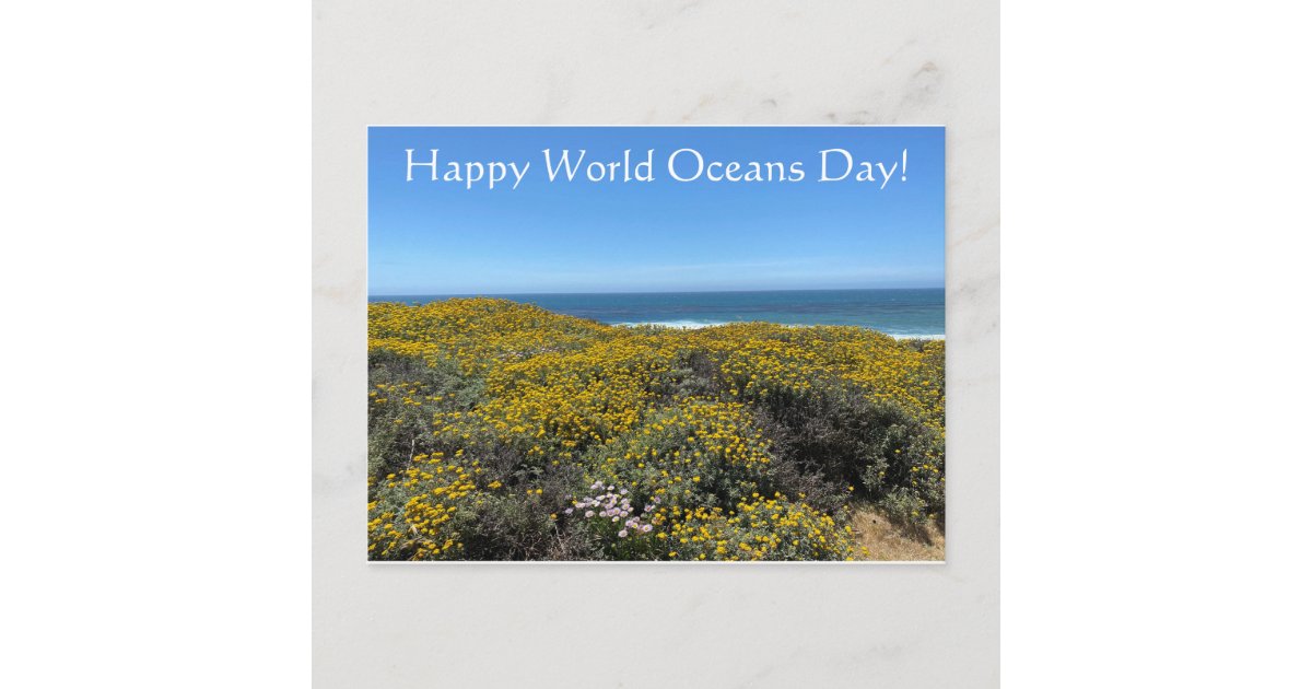 Happy World Oceans Day! Postcard | Zazzle